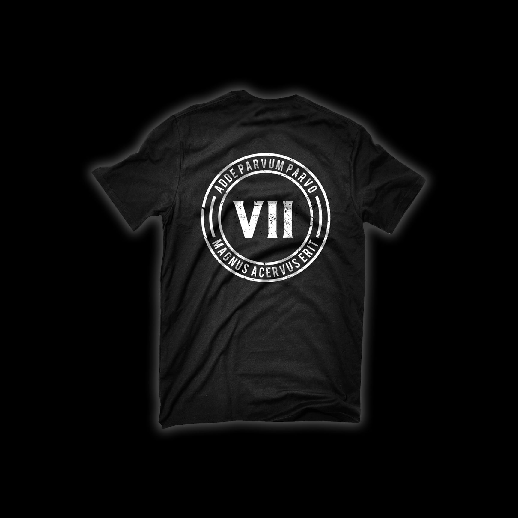 LOGO CLASSIC – TheVIICrew